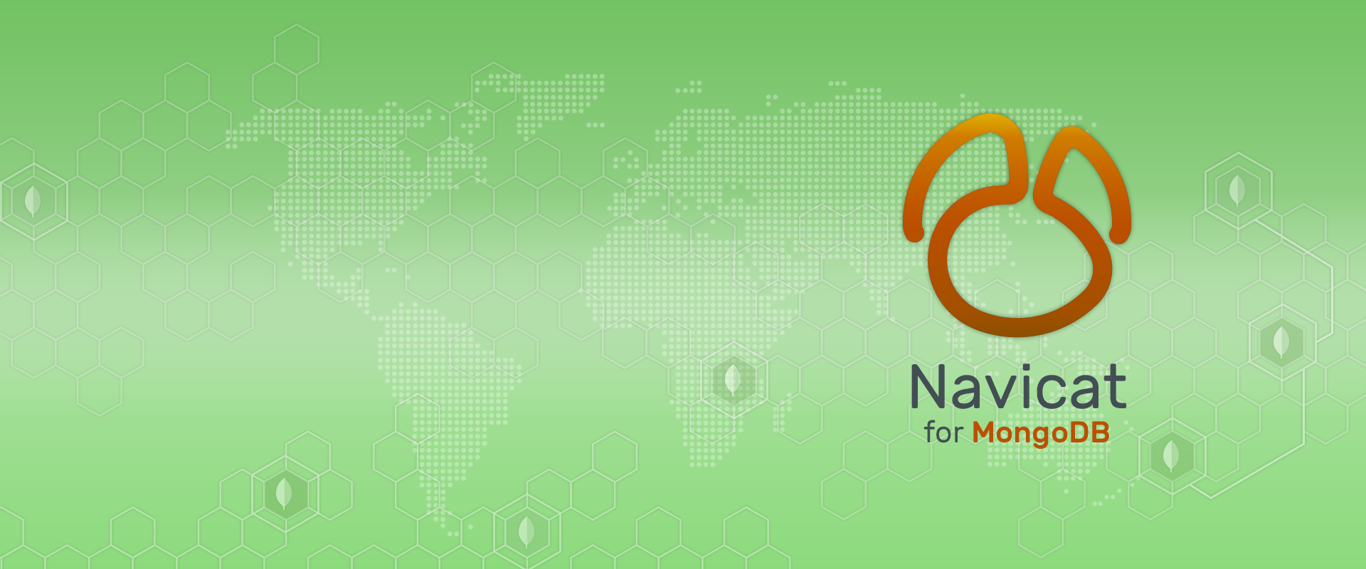 Navicat for Oracle Lite version is now available