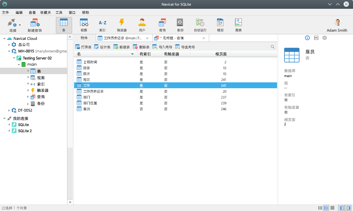 Navicat For Sqlite 强大的 Sqlite 数据库管理 Gui 工具